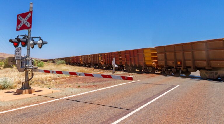 Upskill Your Career | Blue Tongue